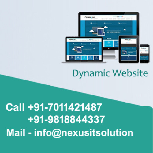 Nexus IT Solution