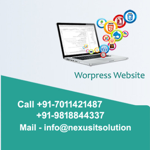 Nexus IT Solution